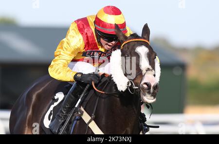 Plumpton, UK. 17th Oct, 2022. Kind Witness makes its way back to the ...