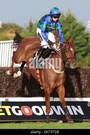 Plumpton, UK. 17th Oct, 2022. Tom Scudamore riding Art Of Illusion ...
