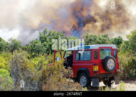 Ten thousand flee raging wildfires in southern France Here at Bormes ...