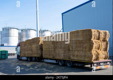 Schwedt, Germany. 17th Oct, 2022. At the Verbio Vereinigte BioEnergie ...