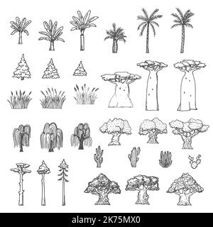 Vintage map plants and trees, palm, baobab and cactus, willow, oak ...