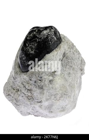 Apache tear (obsidian) from the USA isolated on white background Stock ...