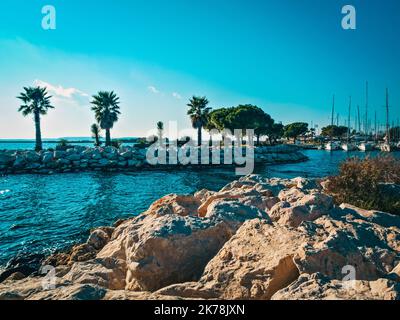 The entrance to the port by Albert Samson with palm trees Stock Photo ...