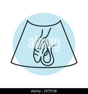 Ultrasound male reproductive system color line illustration ...