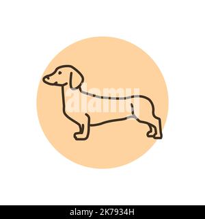 Dachshund color line icon. Dog breed. Pictogram for web page, mobile ...