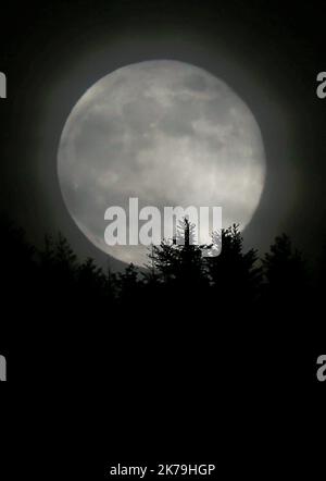 The last super moon of the year 2020 appears on the horizon behind the ...