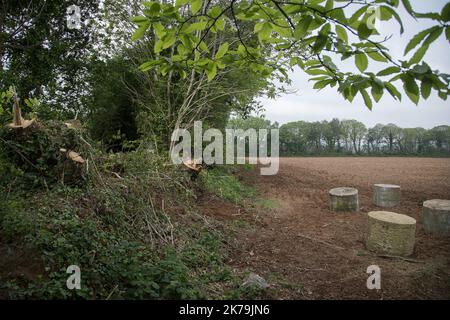 2020/05/10. Demonstration against 5G Relay Antenna Implementation ...