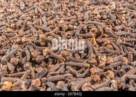 Shot of massed dried Clove / Syzygium aromaticum flower buds. Culinary ...