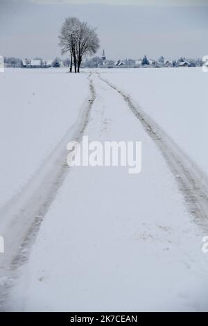 ©PHOTOPQR/DNA/Franck DELHOMME ; Mussig ; 15/01/2021 ; Conditions ...