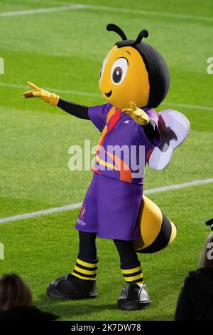 Rugby League world cup mascot RugBee meeting fans at Scotland V ...