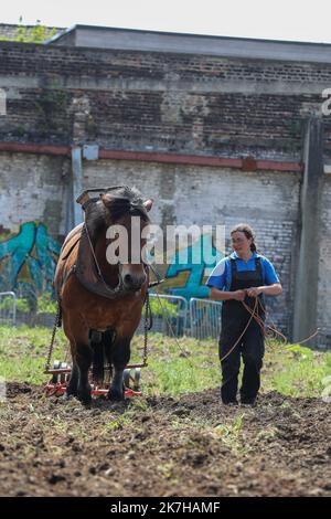 ©PHOTOPQR/VOIX DU NORD/Thierry Thorel ; 26/04/2022 ; Roubaix - Le 26 ...