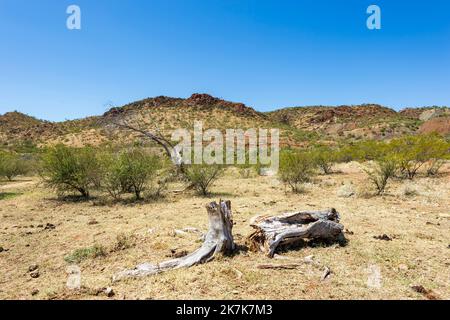 Scenic view of the Selwyn Range at Mary Kathleen, between Mount Isa and ...