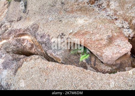erosion scene around the quarry landscape area Stock Photo - Alamy