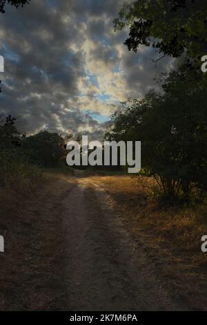 Shadowy path through the countryside, enclosed by trees and bushes ...