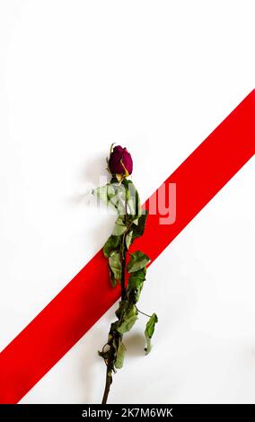Ribbon rose design Stock Photo - Alamy