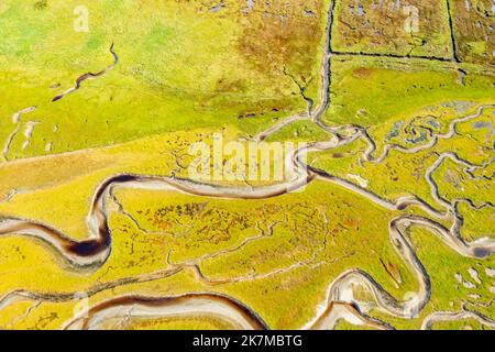 Aerial view of the Salt Marsh at Ards Forest Park in County Donegal ...