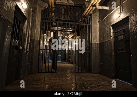 Jail bars, empty dark prison cell as conceptual background for crime ...