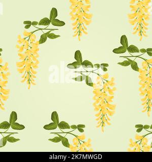 Seamless texture Laburnum branch decorative shrub nature background ...