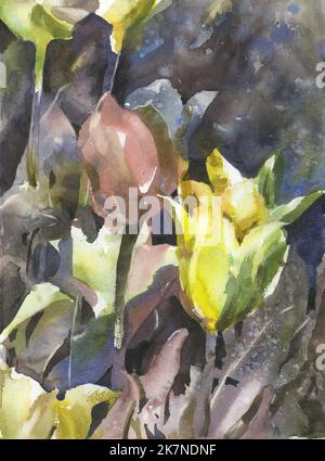 Tulip fine art watercolor painting. Colorful tulip home decor ...