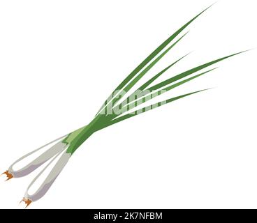 Cartoon spring onion isolated illustration Stock Vector Image & Art - Alamy