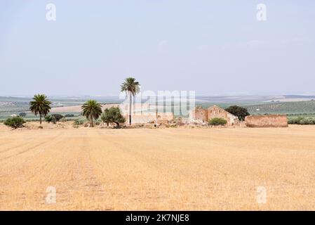 Ruined buildings and olive trees in wide open landscape, Andalusia ...