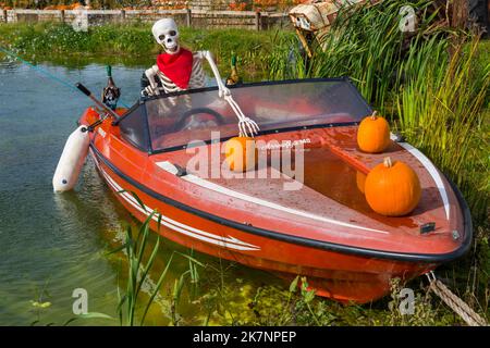 Pumpkin Time at Sunnyfields Farm in Totton, Hampshire UK in October as ...