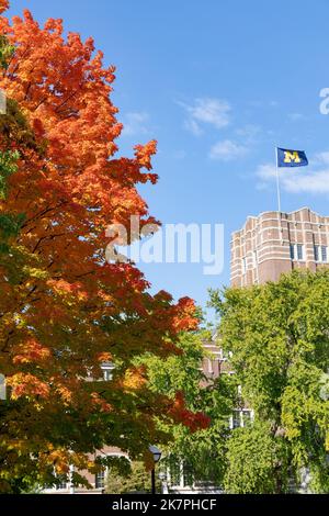 University of Michigan flag flies over the student union with autumn ...
