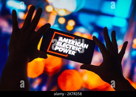In this photo illustration, the American electric vehicle EV ...