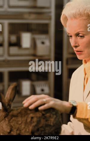 NIGHT OF THE LEPUS, Janet Leigh, 1972 Stock Photo - Alamy
