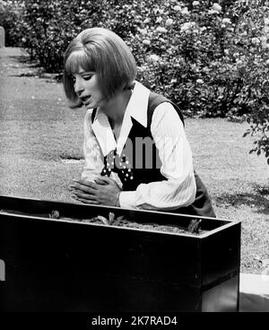 BARBRA STREISAND from ON A CLEAR DAY YOU CAN SEE FOREVER Date: 1970 ...
