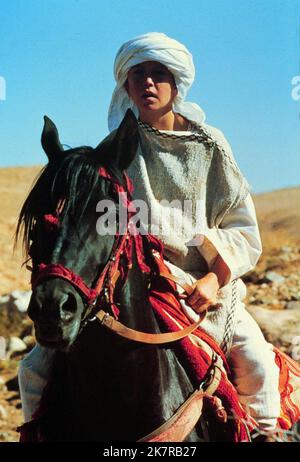 THE BLACK STALLION USA 1979 Carroll Ballard Alec Ramsey (KELLY RENO ...