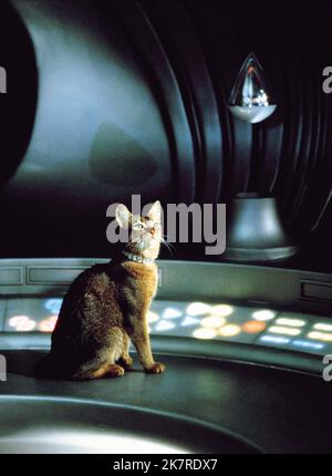 Jake The Cat Film The Cat From Outer Space (USA 1978) Director: Norman ...