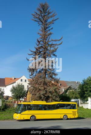 Yellow bus under tree in city of Roseau, Dominica, Caribbean Island ...