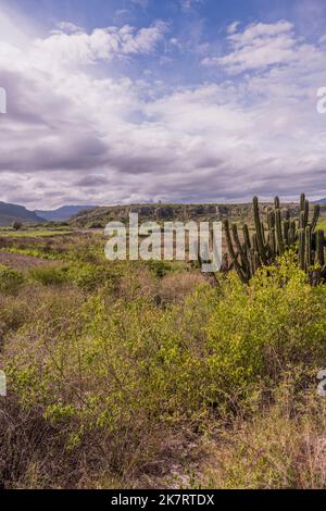 Yagul archaeological site. Oaxaca, Mexico Stock Photo - Alamy