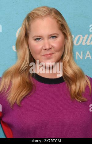 Amy Schumer attends the Inside Amy Schumer Season 5 Premiere at the ...