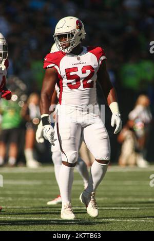 Arizona Cardinals linebacker Victor Dimukeje puts pressure on Carolina ...