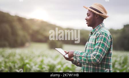 African Farmer with hat using tablet in the organic corn plantation ...
