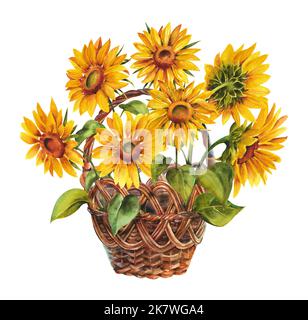 Sunflower and leaves, isolated watercolor set. Green plants, hand drawn ...