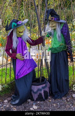 witches stirring cauldron at Pumpkin Time at Sunnyfields Farm in Totton ...