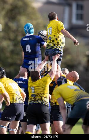 rugby game, rugby player, rugby team, rugby ballrugby tackle,rugby ...
