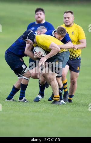 rugby game, rugby player, rugby team, rugby ballrugby tackle,rugby ...