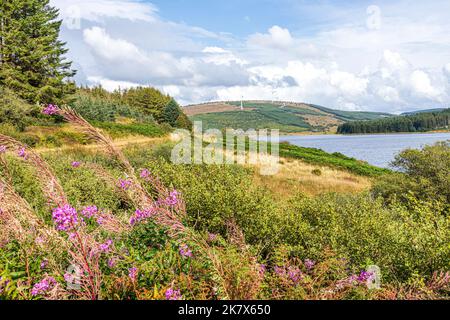 The northern end of Lussa Loch on the Kintyre Peninsula, Argyll & Bute ...