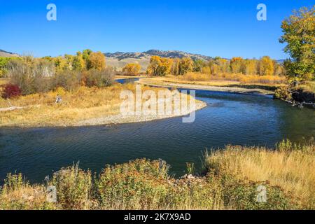 fall colors along the clark fork river at beavertail hill state park ...