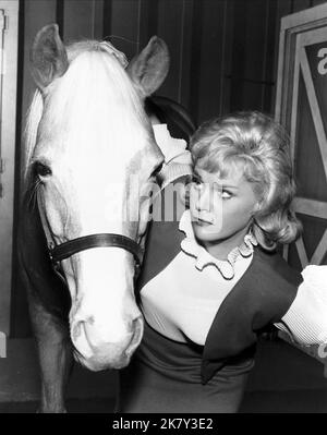 Connie Hines Television: Mister Ed (TV-Serie) Characters: Carol Post ...