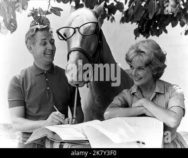 Connie Hines Television: Mister Ed (TV-Serie) Characters: Carol Post ...