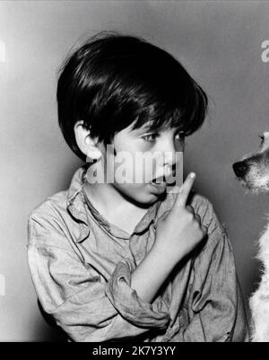 David Kory Film Dondi (1961) Characters: Dondi Director: Albert ...