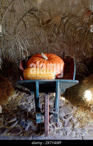 Pumpkins and harvest festival display at St Fagans Museum of History ...