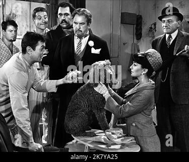 Tony Curtis & Larry Storch Film Wild And Wonderful (USA 1964 ...