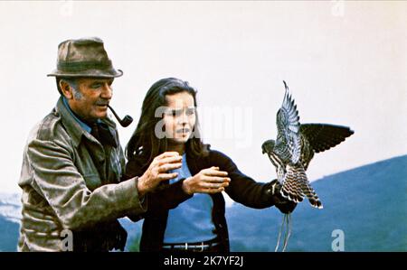 RUN WILD, RUN FREE (1969) JOHN MILLS, FIONA FULLERTON, RICHARD C ...