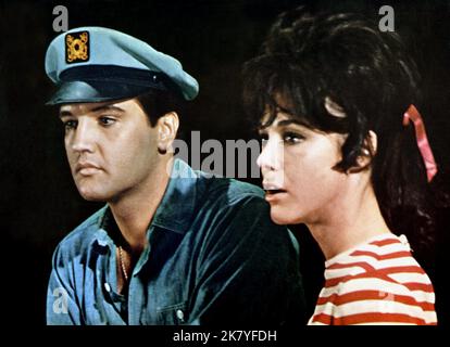 ELVIS PRESLEY (Ted Jackson), DODIE MARSHALL (Jo Symington) Regie: John ...